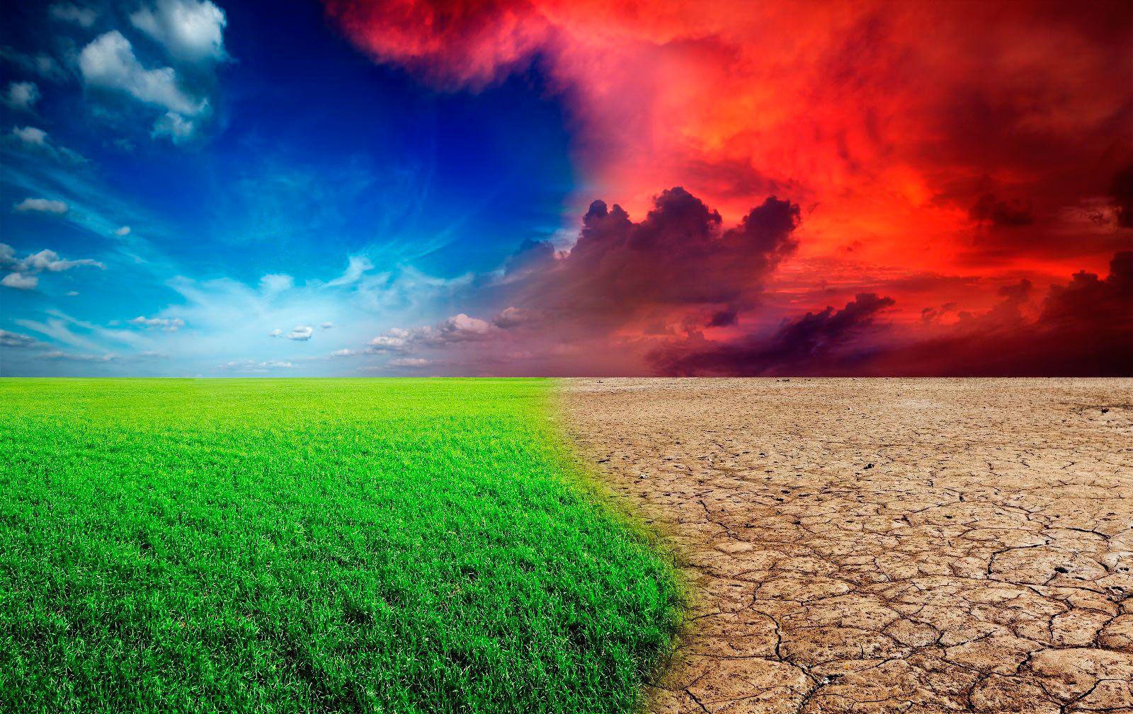 Claves para contribuir como personas en beneficio del cambio climático