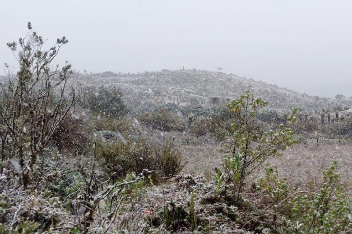 Nevó en Colombia: luego de 60 años volvió a suceder