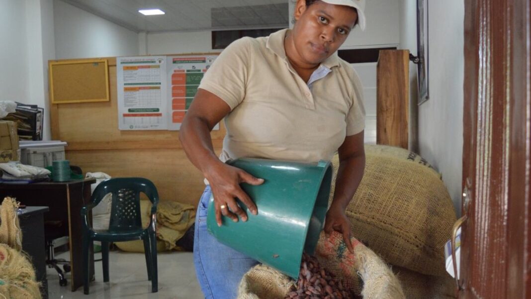Resultados de Agroemprende Cacao en Magdalena Medio