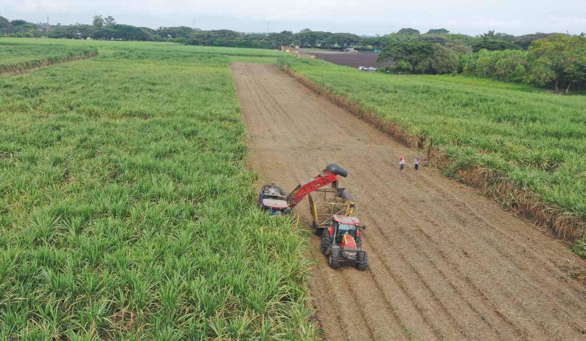 Riopaila cerró 2022 con crecimiento de 27 % en ingresos