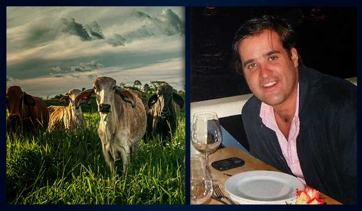 Pirámide ganadera de Felipe Rocha: valor de reclamaciones