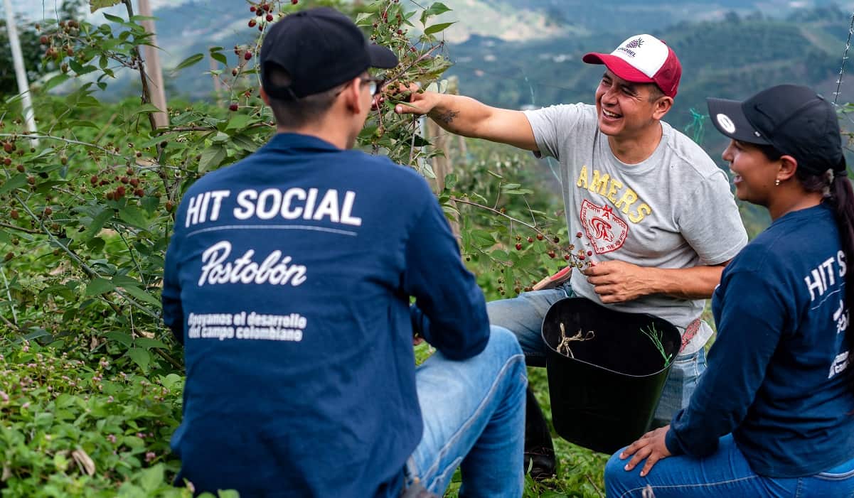 Postobón abre oportunidades en el campo con programa Hit Social