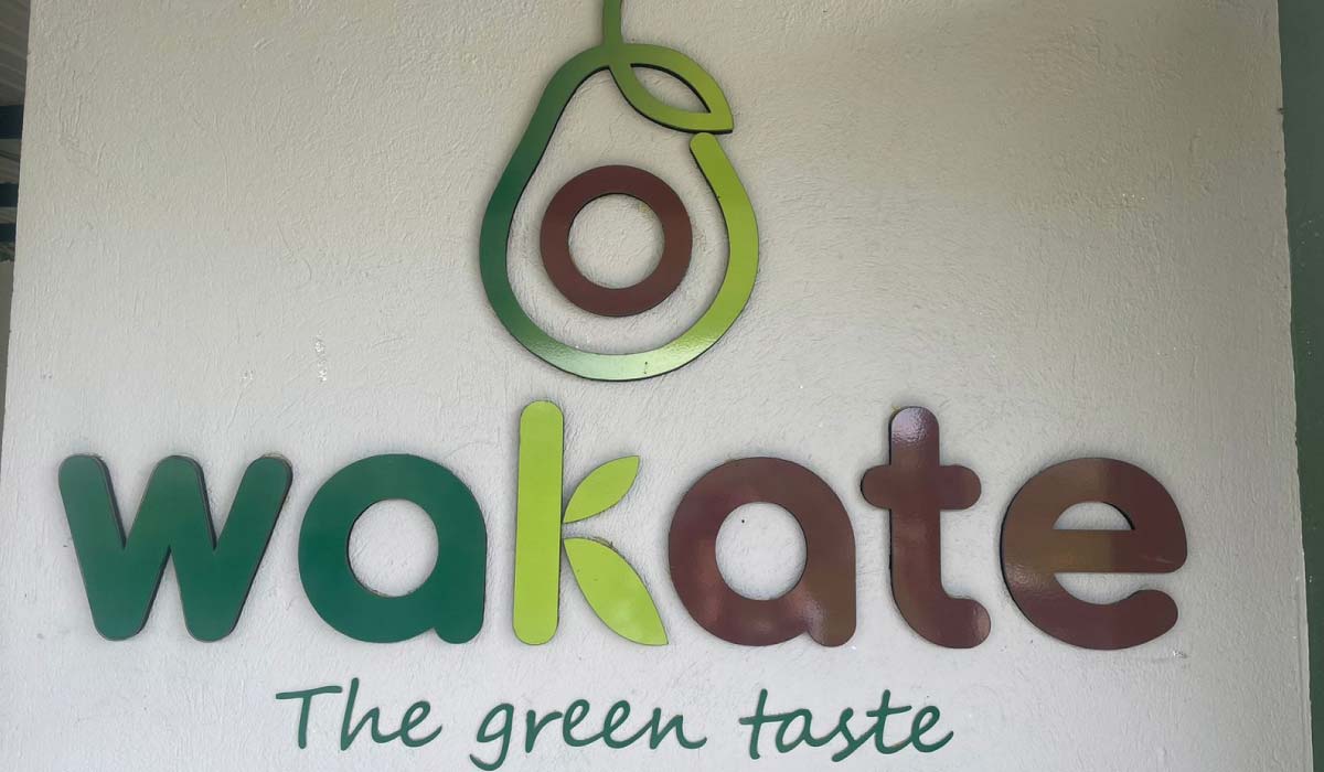 Así Wakate, empresa agroindistrual, busca reforestar el Caldas