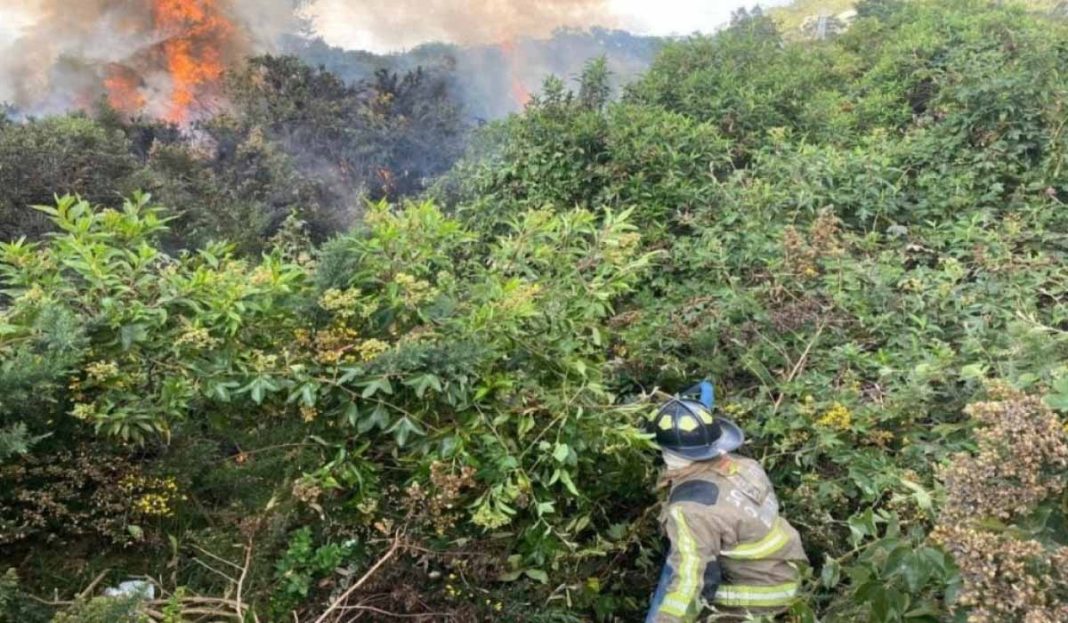 ¿Por qué se creó el incendio en cerros orientales de Bogotá?
