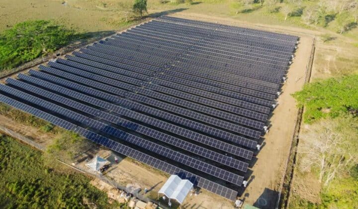 Cómo son las minigranjas solares de Unergy en Colombia