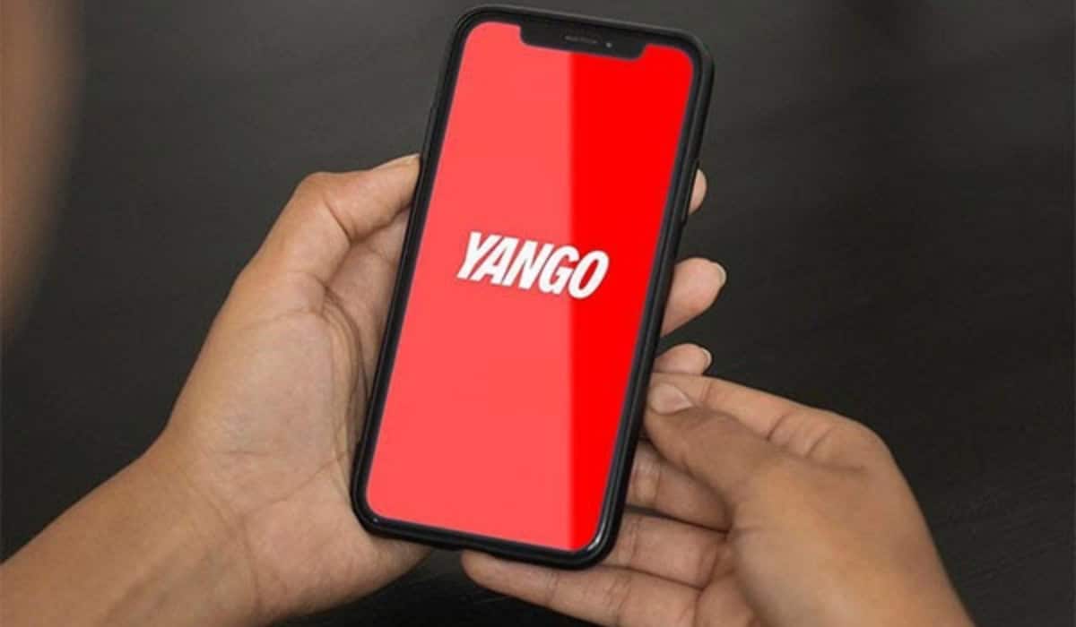 Yango Group anuncia importante inversión en MejorCDT: lanza fondo ...