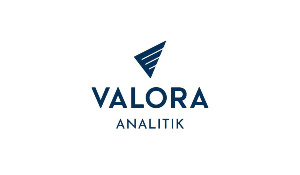 Estilo de vida - Valora Analitik