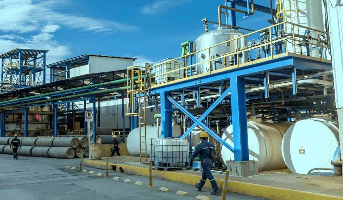 Brinsa (Refisal y Blancox) anuncia inversiones para 2025