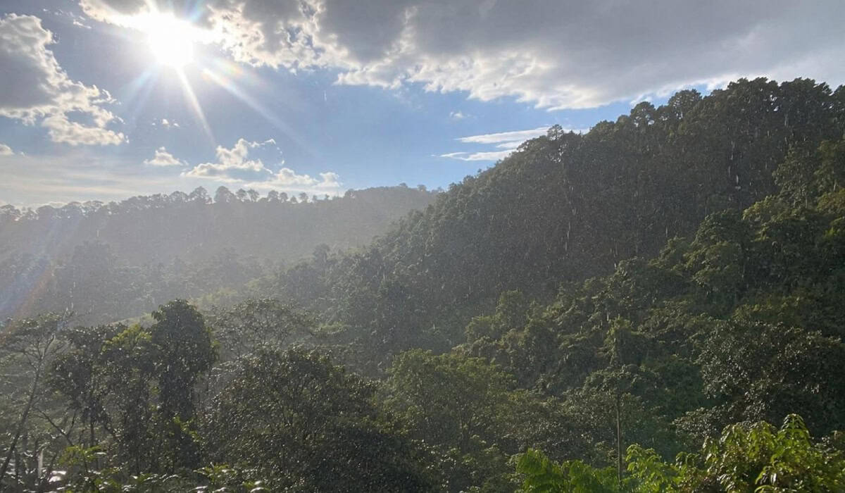 Llegó el fenómeno de El Niño a Colombia y aproximadamente 72 % de la ...